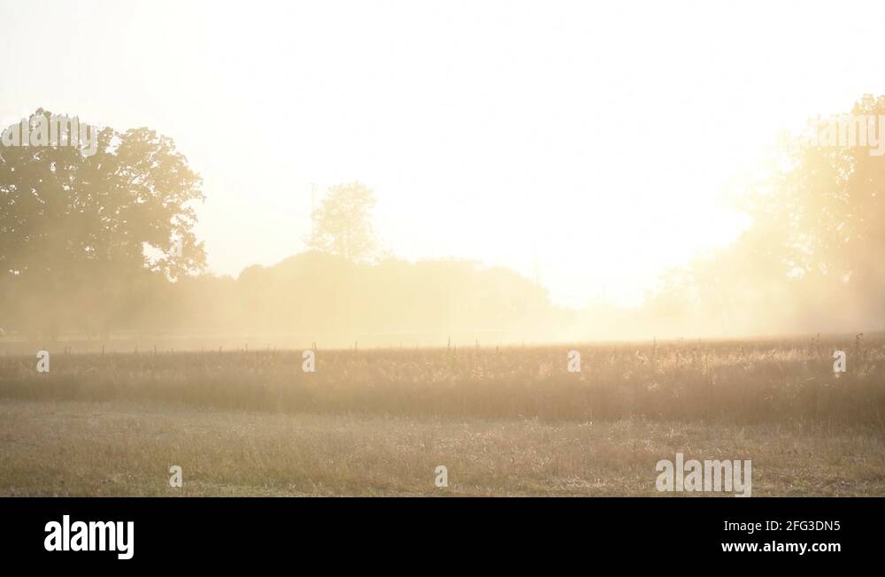 Dusty Field after Harvesting 2 Stock Video Footage - Alamy