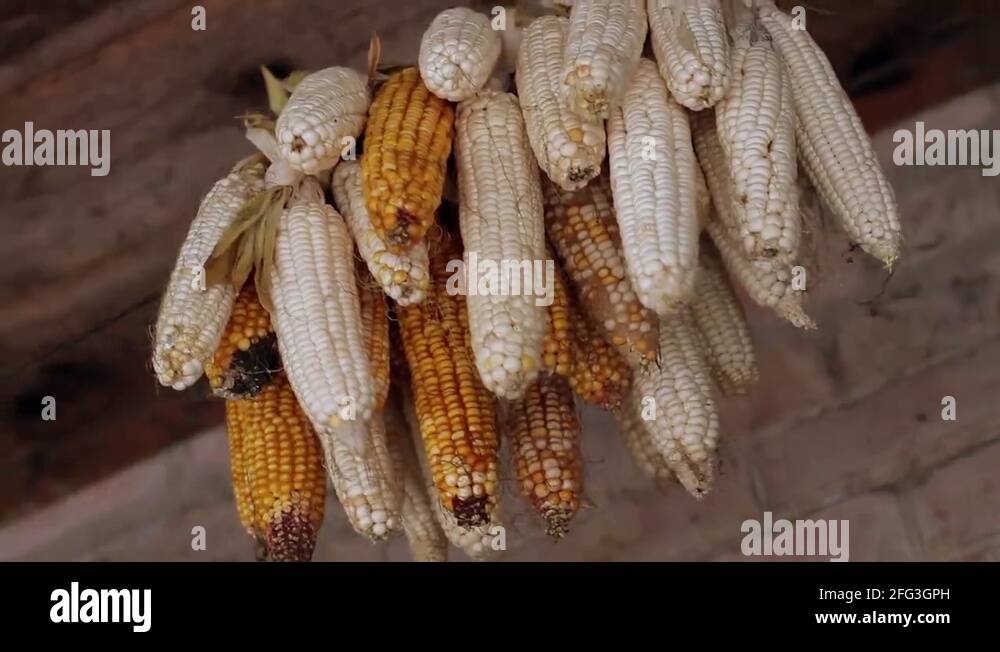 Sheaf house Stock Videos & Footage - HD and 4K Video Clips - Alamy