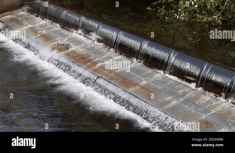 Migration barrier Stock Videos & Footage - HD and 4K Video Clips - Alamy