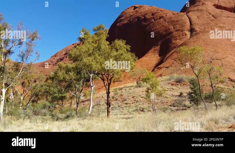 Outback Australia Landscape Red Desert Sand and Dry Arid Grasslands ...