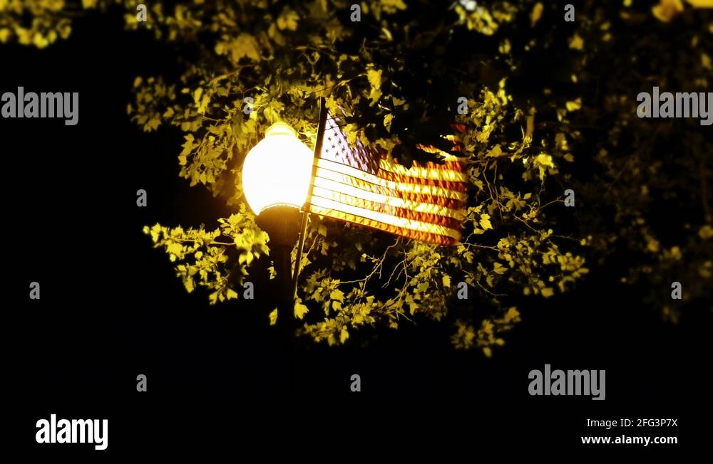 Street lamp post flag Stock Videos & Footage - HD and 4K Video Clips ...