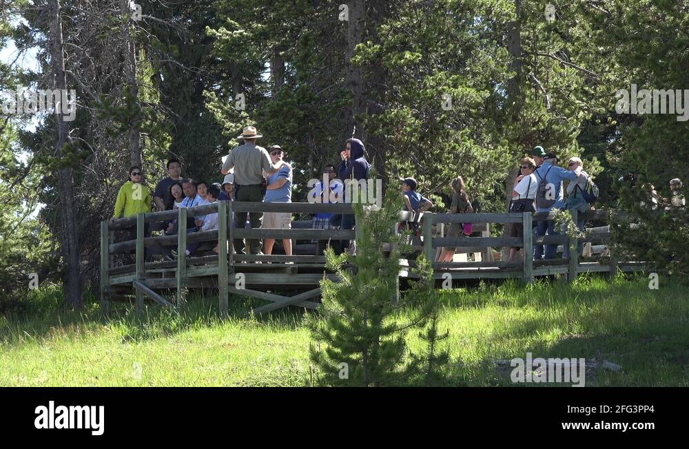 Yellowstone park ranger Stock Videos & Footage - HD and 4K Video Clips ...