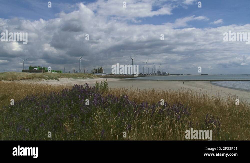 Diversity is power Stock Videos & Footage - HD and 4K Video Clips - Alamy