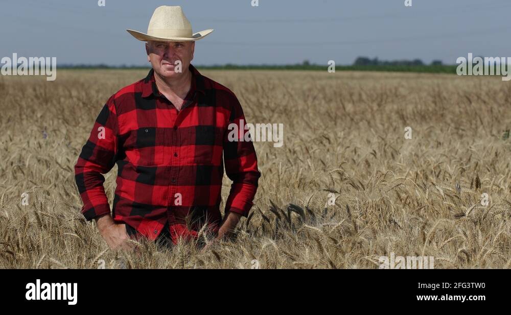 Thumb Up Good Sign Hand Gesture Agriculture Producer Farm Land Wheat ...