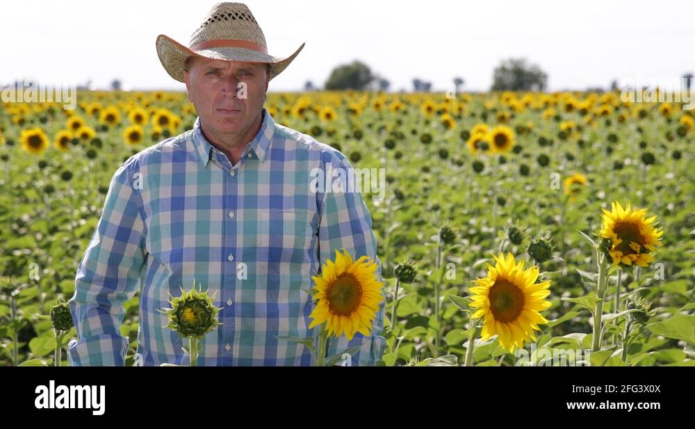 Harvest is done Stock Videos & Footage - HD and 4K Video Clips - Alamy