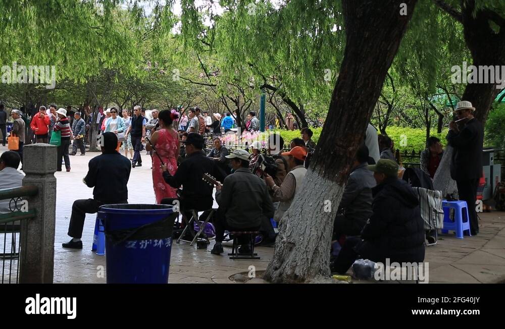 Traditional chinese musical instruments Stock Videos & Footage - HD and ...