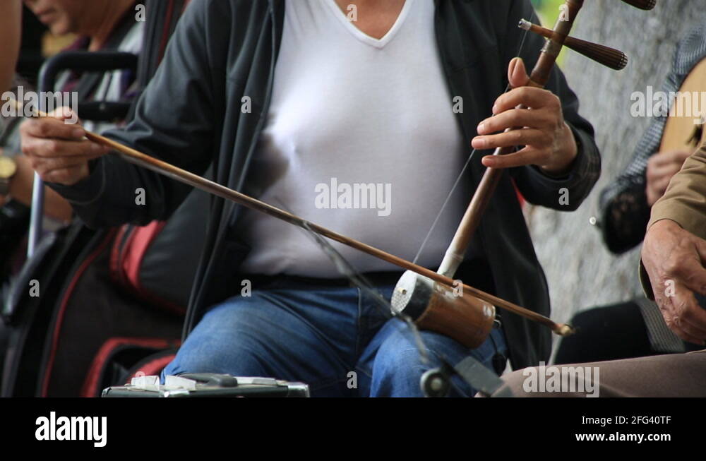 Traditional chinese musical instrument Stock Videos & Footage - HD and ...