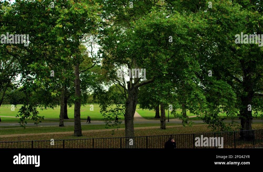 Park walk england Stock Videos & Footage - HD and 4K Video Clips - Alamy