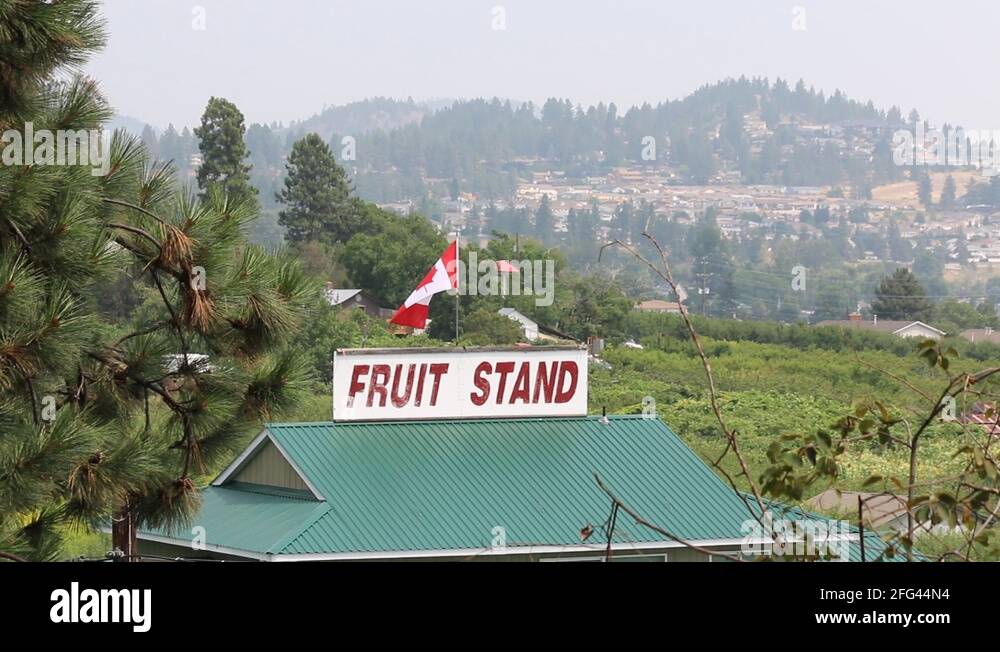 Sign farm stand Stock Videos & Footage - HD and 4K Video Clips - Alamy