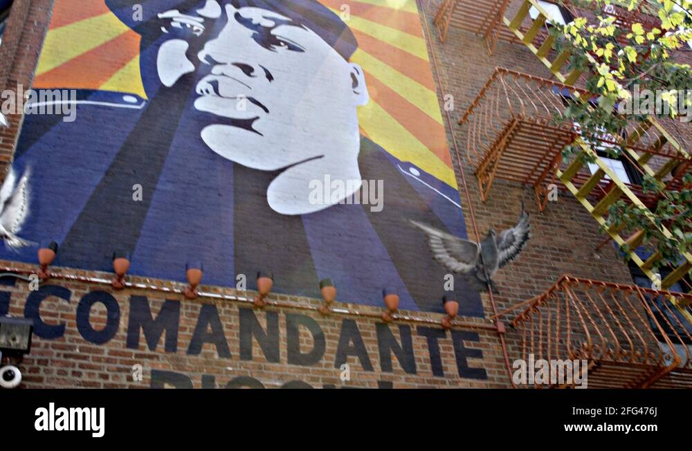 Brooklyn Love Building with Biggie Mural birds fire escape Fort Greene ...