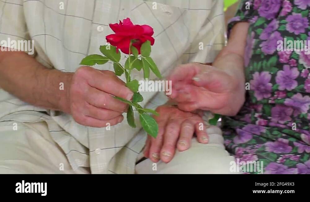 Grandma rose Stock Videos & Footage - HD and 4K Video Clips - Alamy