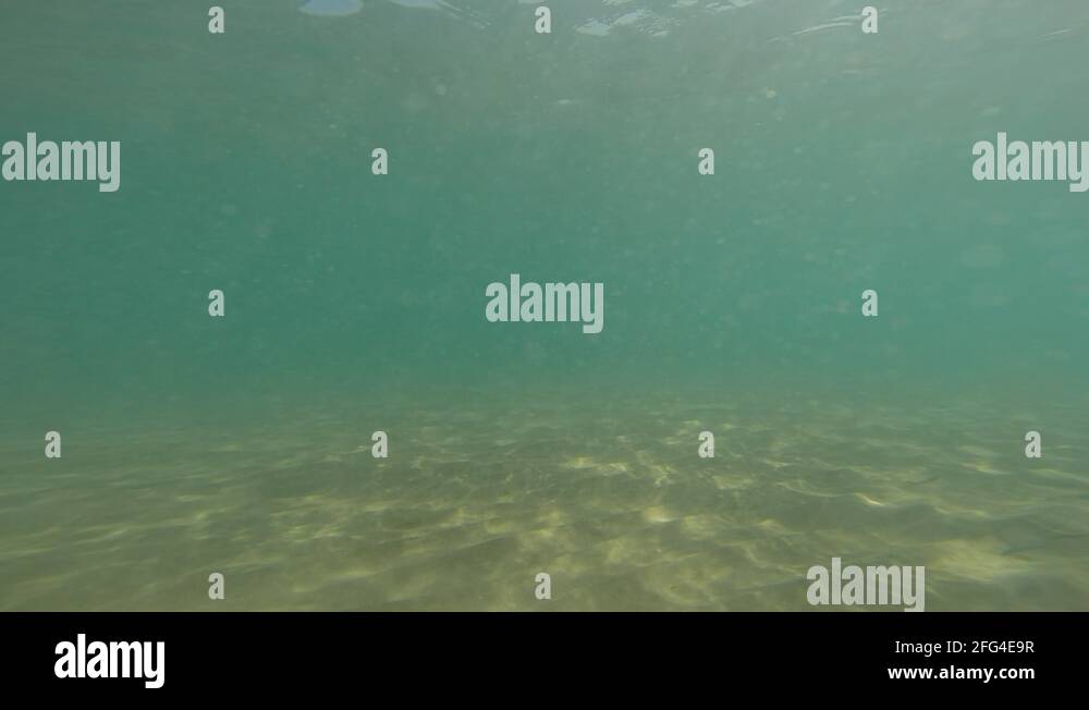 Shallow water and beach Stock Videos & Footage - HD and 4K Video Clips ...