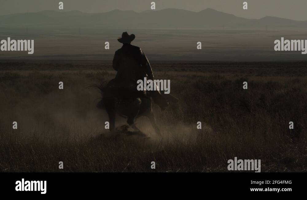 One cowboy riding a horse Stock Videos & Footage - HD and 4K Video ...