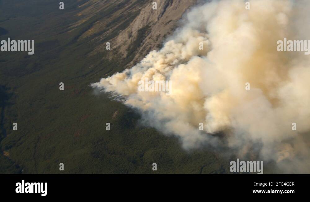 Forest fire aerial Stock Videos & Footage - HD and 4K Video Clips - Alamy