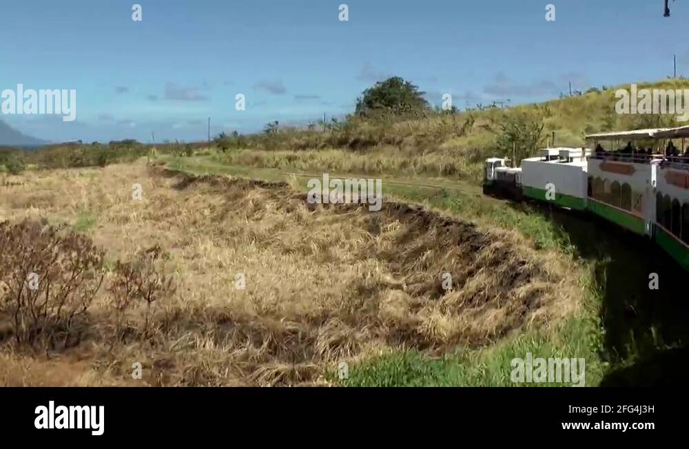 Sugar cane railway Stock Videos & Footage - HD and 4K Video Clips - Alamy