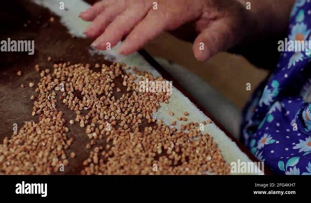 Grain sort Stock Videos & Footage - HD and 4K Video Clips - Alamy