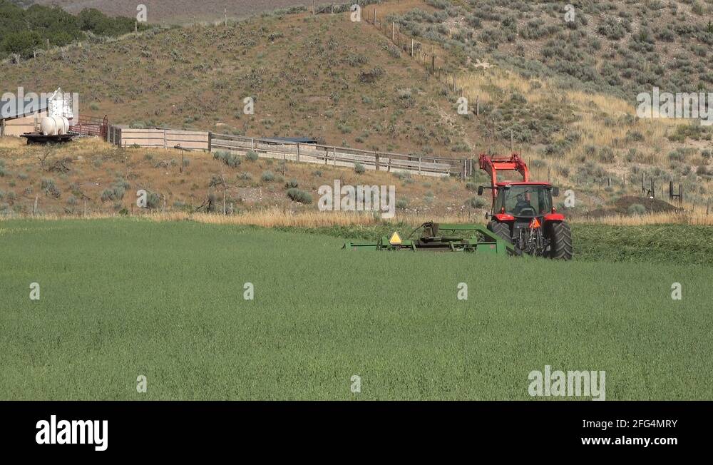 Grain swathing Stock Videos & Footage - HD and 4K Video Clips - Alamy