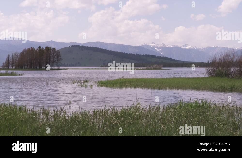Yellowstone grass and mountains Stock Videos & Footage - HD and 4K ...