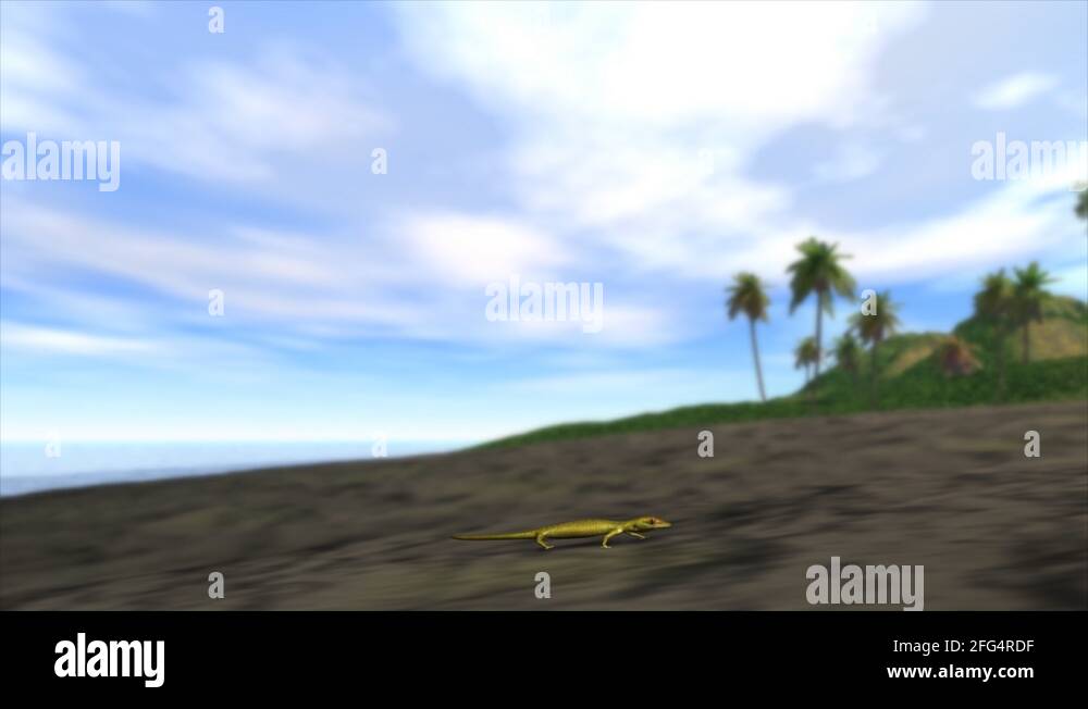 Cartoon evolution monkey to man Stock Videos & Footage - HD and 4K ...