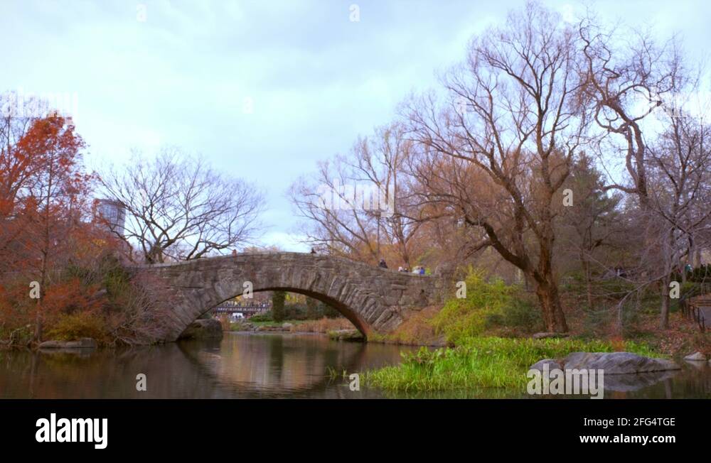 People walking over a bridge in Central Park, New York Stock Video ...