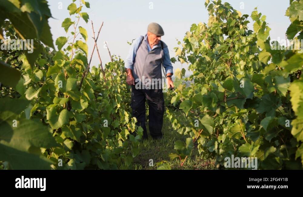 Old fertilizer Stock Videos & Footage - HD and 4K Video Clips - Alamy