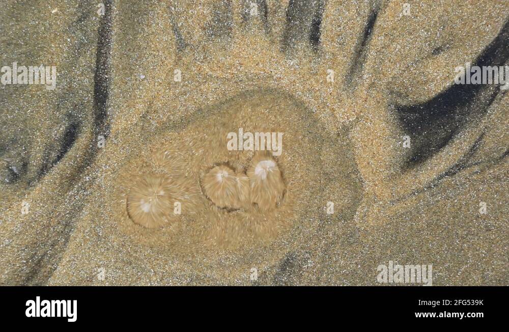 Water spouting Stock Videos & Footage - HD and 4K Video Clips - Alamy