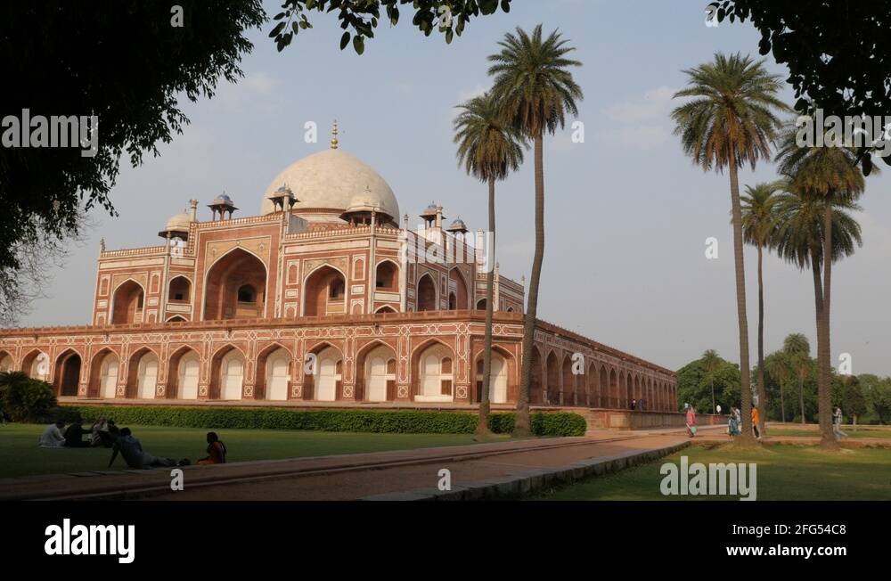 Delhi trees Stock Videos & Footage - HD and 4K Video Clips - Alamy
