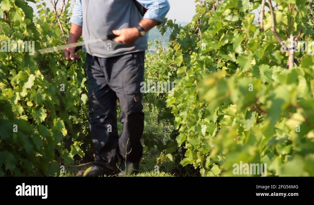 Fertilizer pump Stock Videos & Footage - HD and 4K Video Clips - Alamy