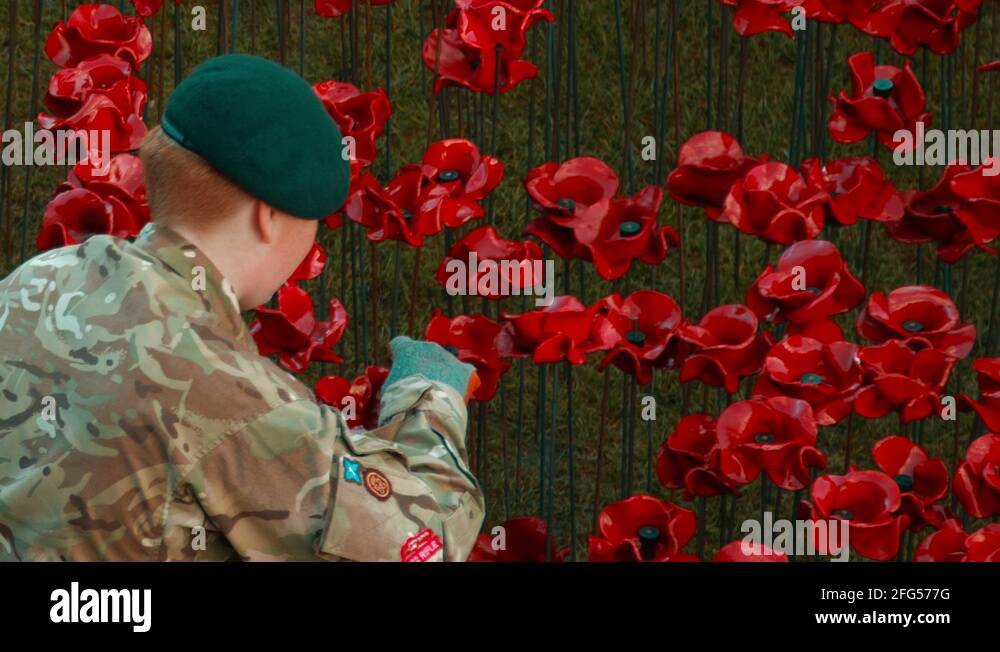 Ww1 remembrance sunday Stock Videos & Footage - HD and 4K Video Clips ...