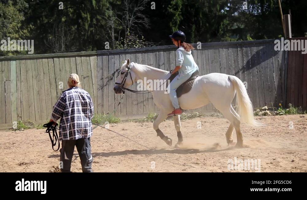 Learning horse riding Stock Videos & Footage - HD and 4K Video Clips ...