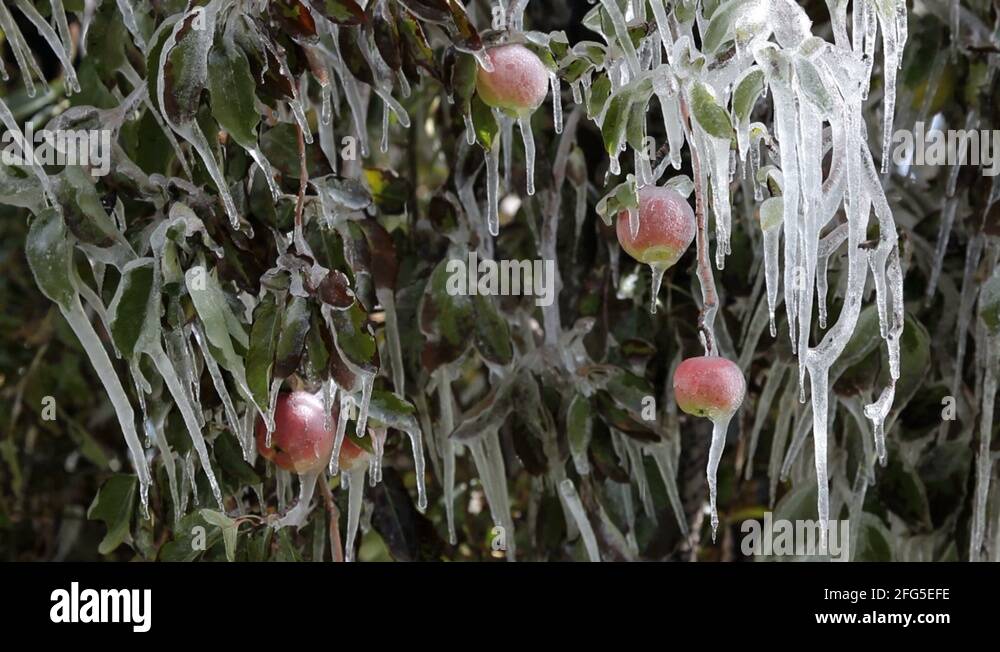 Frozen cycles Stock Videos & Footage - HD and 4K Video Clips - Alamy