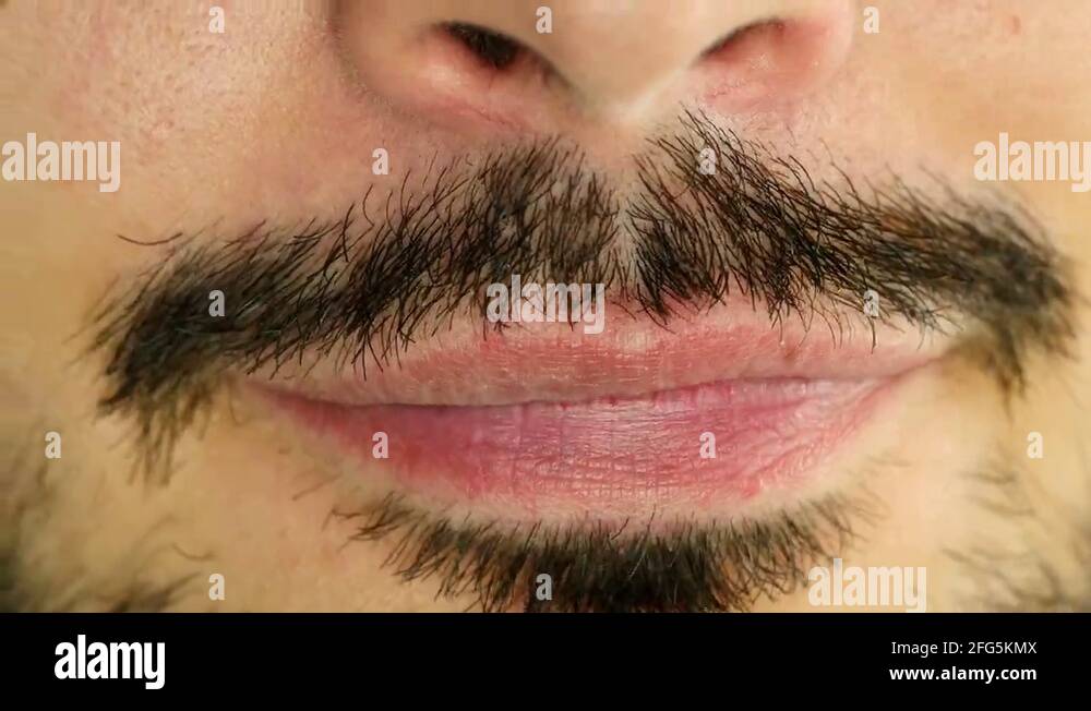 4K Moustache Closeup Stock Video Footage - Alamy