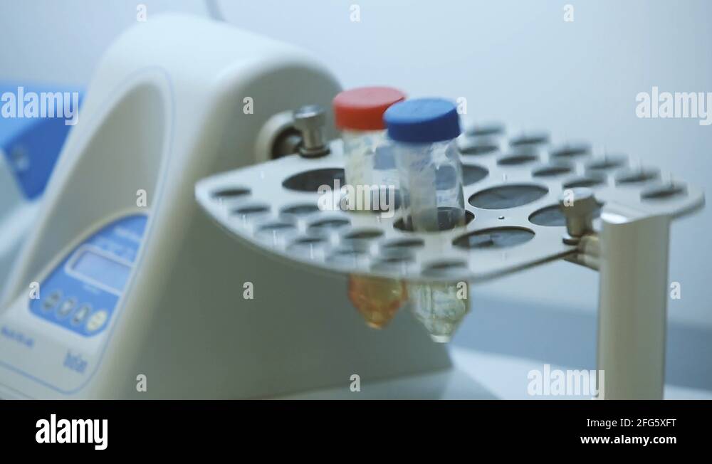 Microbial decomposition Stock Videos & Footage - HD and 4K Video Clips - Alamy