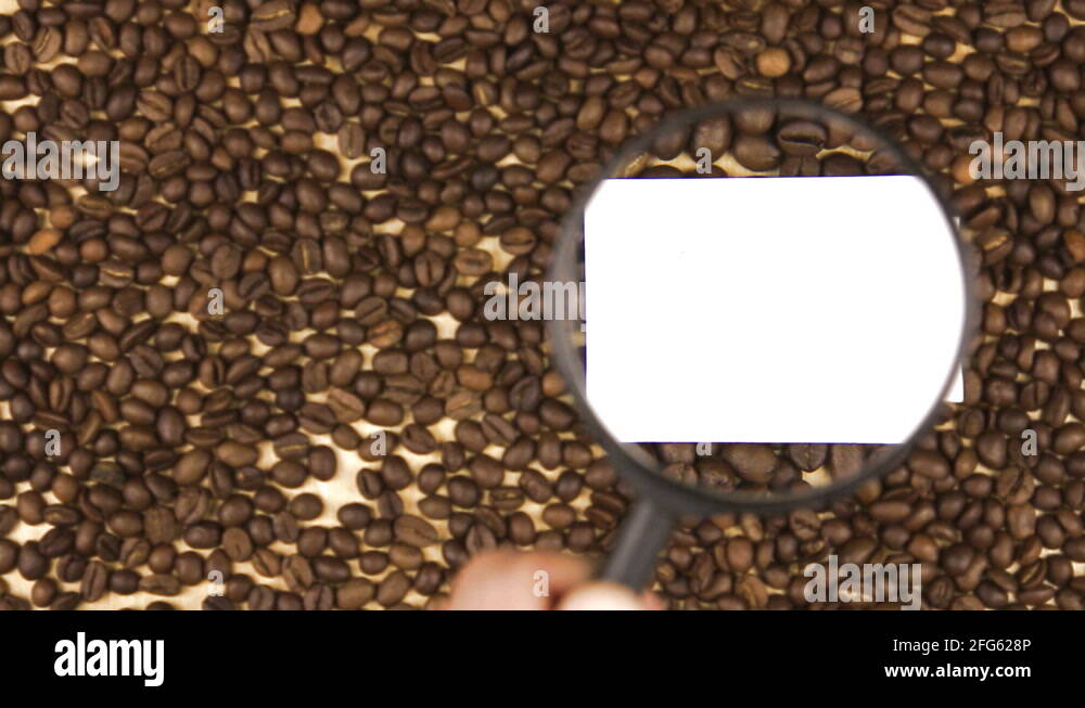 Magnifying glass increases the coffee beans and business card Stock ...