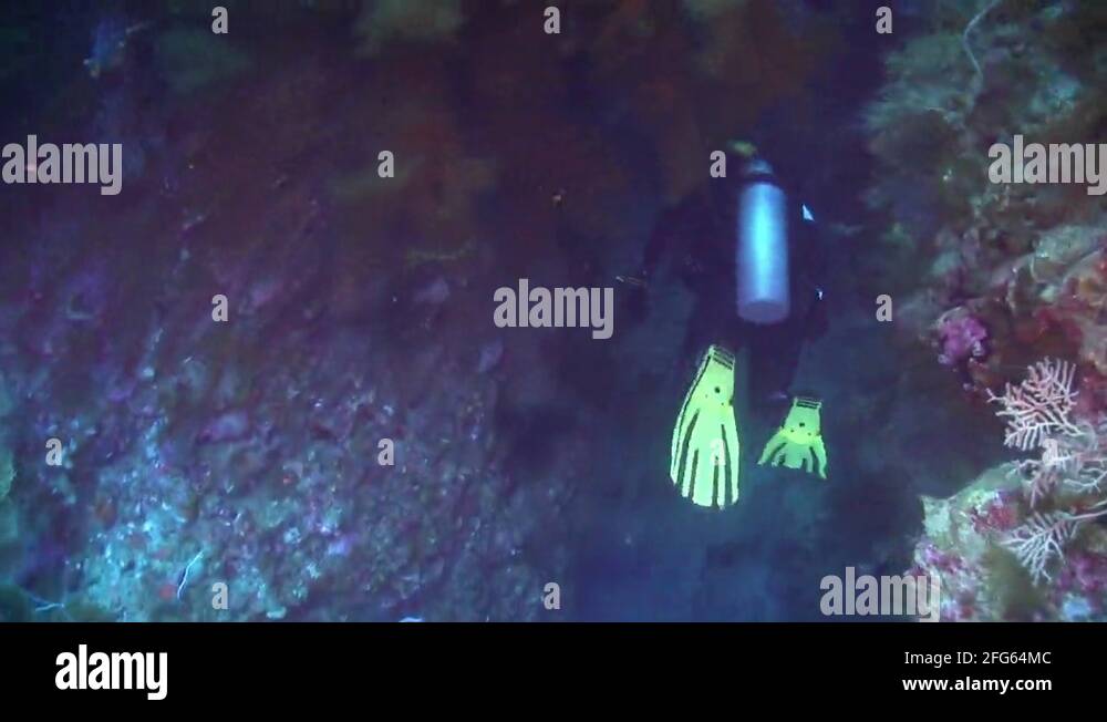 Cavern dive site Stock Videos & Footage - HD and 4K Video Clips - Alamy