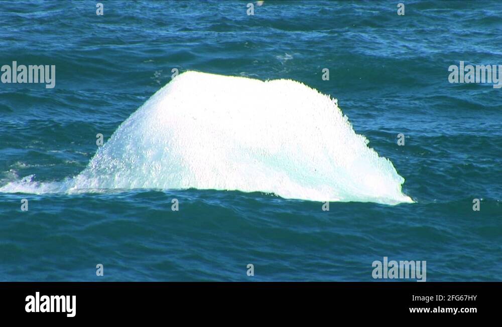 Icecap Stock Videos & Footage - HD and 4K Video Clips - Alamy