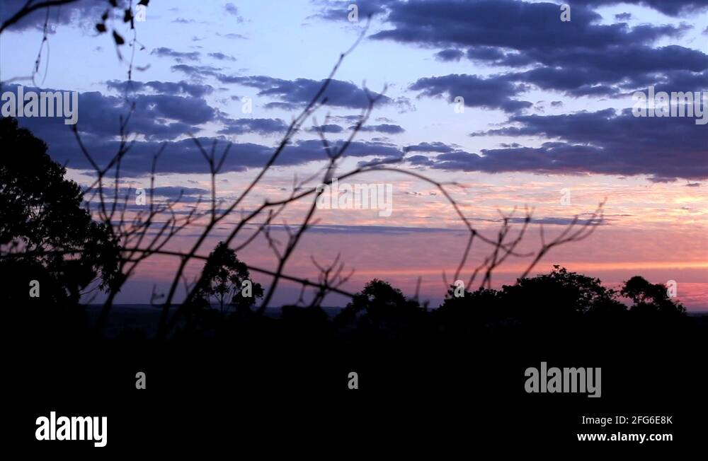 Pan forest Stock Videos & Footage - HD and 4K Video Clips - Alamy