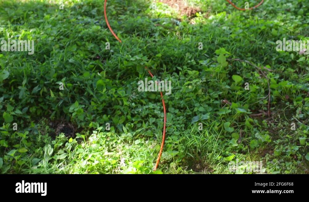 Modern tv cable Stock Videos & Footage - HD and 4K Video Clips - Alamy
