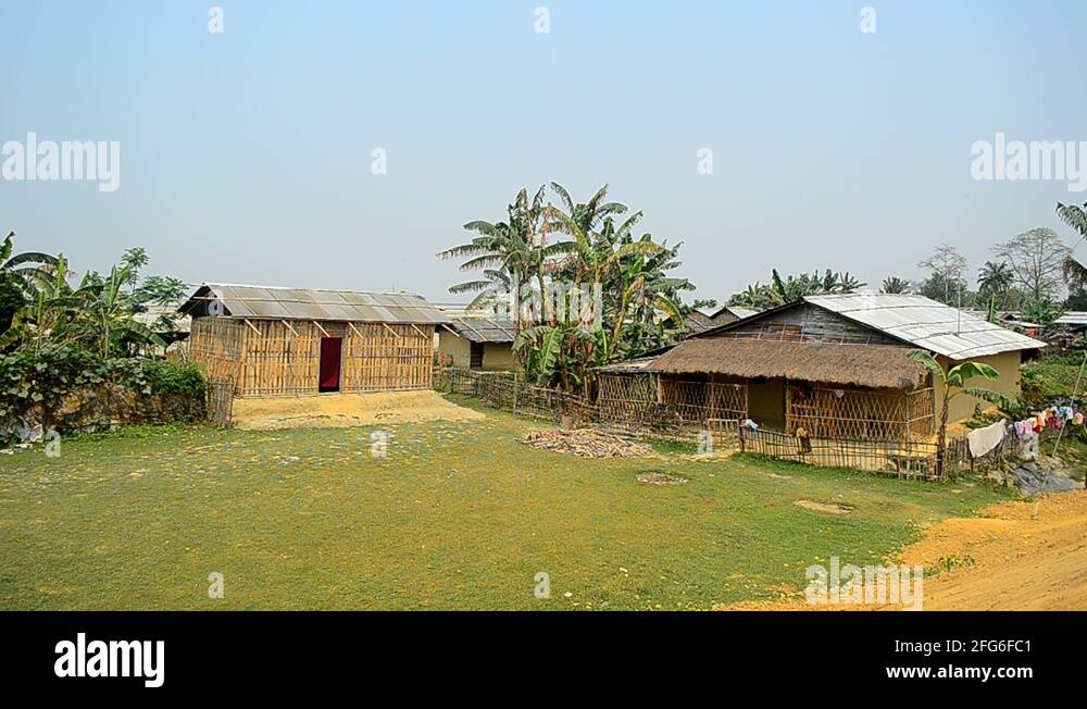 Assam house Stock Videos & Footage - HD and 4K Video Clips - Alamy