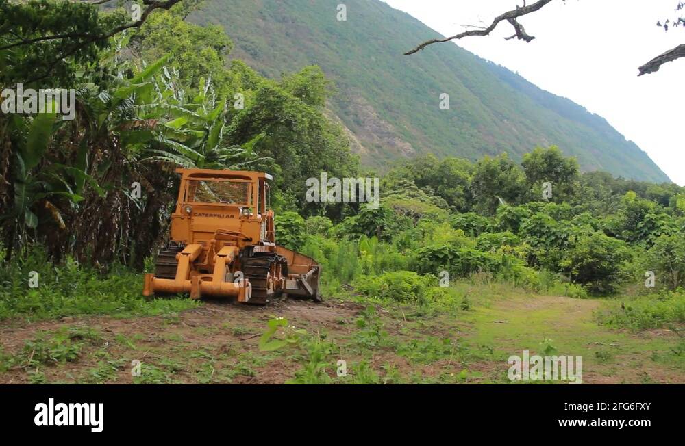 Bulldozer forest Stock Videos & Footage - HD and 4K Video Clips - Alamy