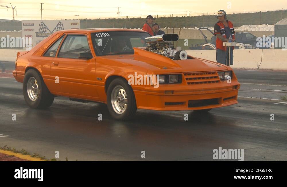 Orange mustang Stock Videos & Footage - HD and 4K Video Clips - Alamy