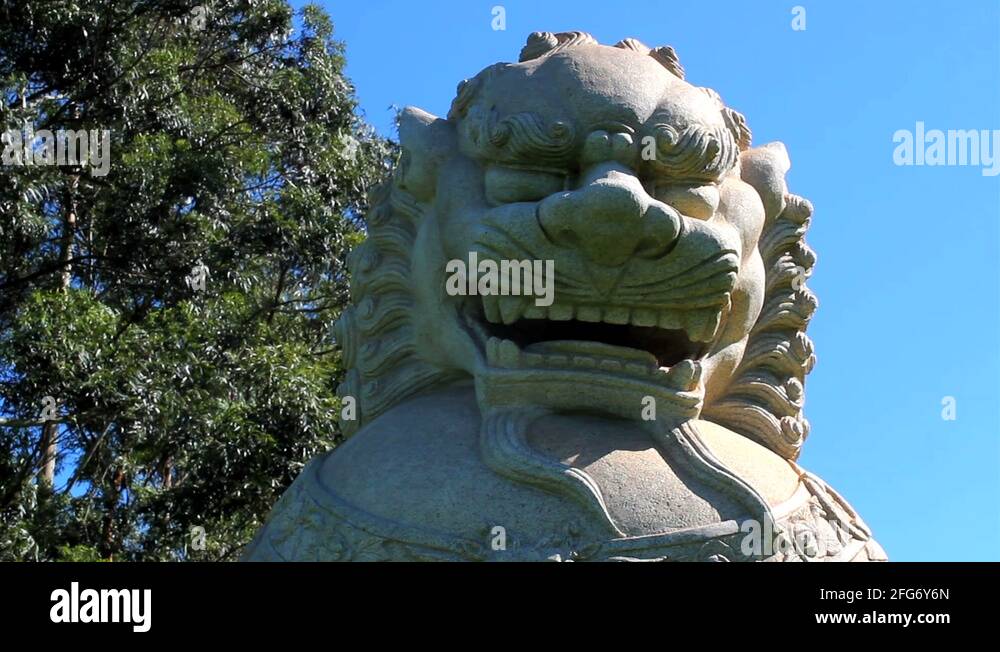 Koma inu Stock Videos & Footage - HD and 4K Video Clips - Alamy