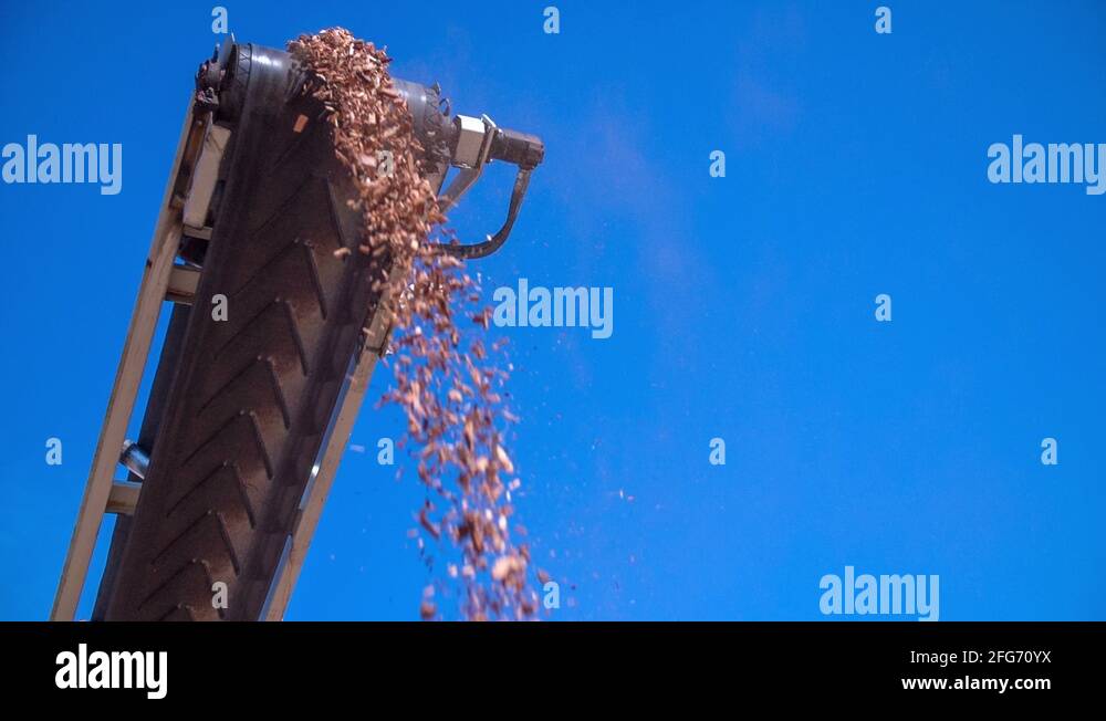 Wood conversion Stock Videos & Footage - HD and 4K Video Clips - Alamy