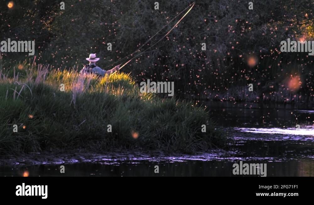 Hatch fishing Stock Videos & Footage - HD and 4K Video Clips - Alamy