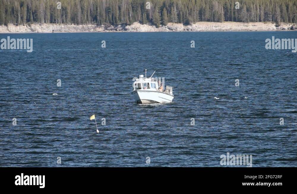 Troller boat Yellowstone Lake P HD 2663 Stock Video Footage - Alamy