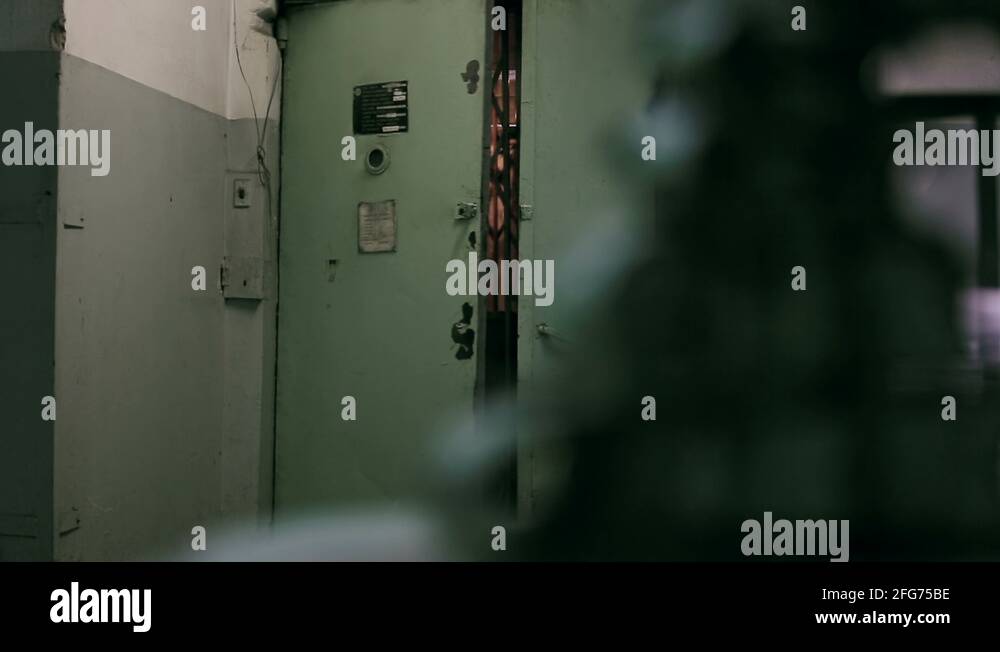 Cruel Stock Videos & Footage - HD and 4K Video Clips - Alamy