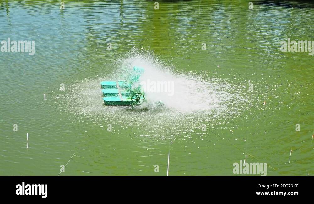 Paddlewheel Stock Videos & Footage - HD and 4K Video Clips - Alamy
