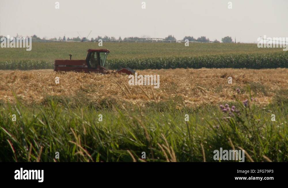 Agriculture farm tractor Stock Videos & Footage - HD and 4K Video Clips ...