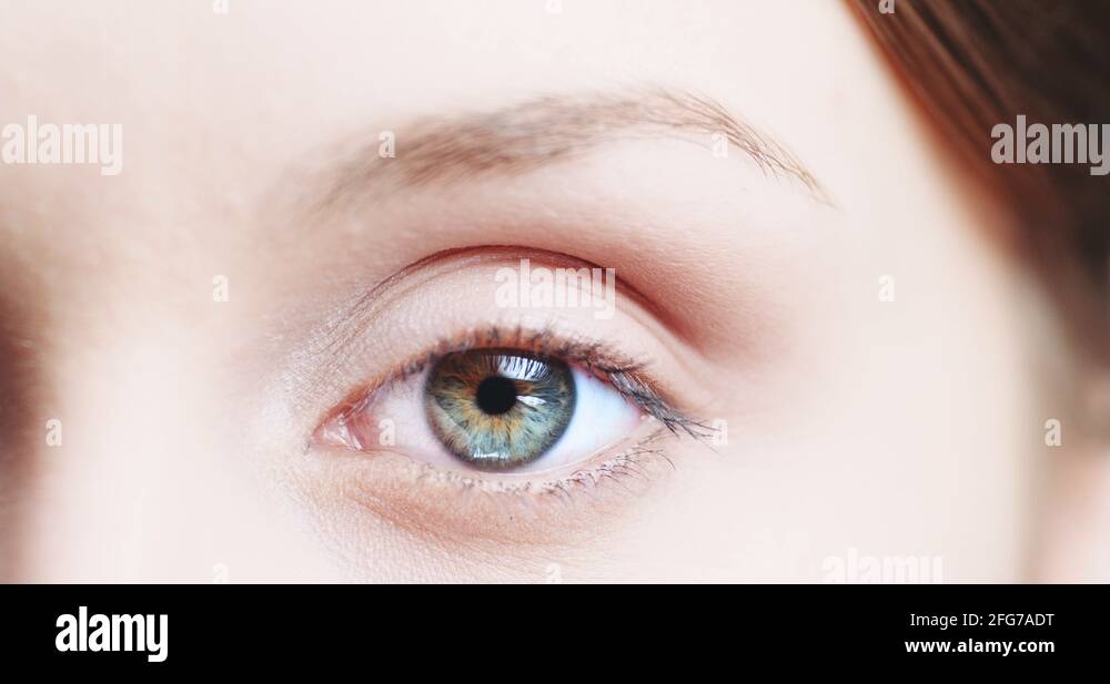 Macro Close-up eye blinking. Young Woman is opening and closing ...