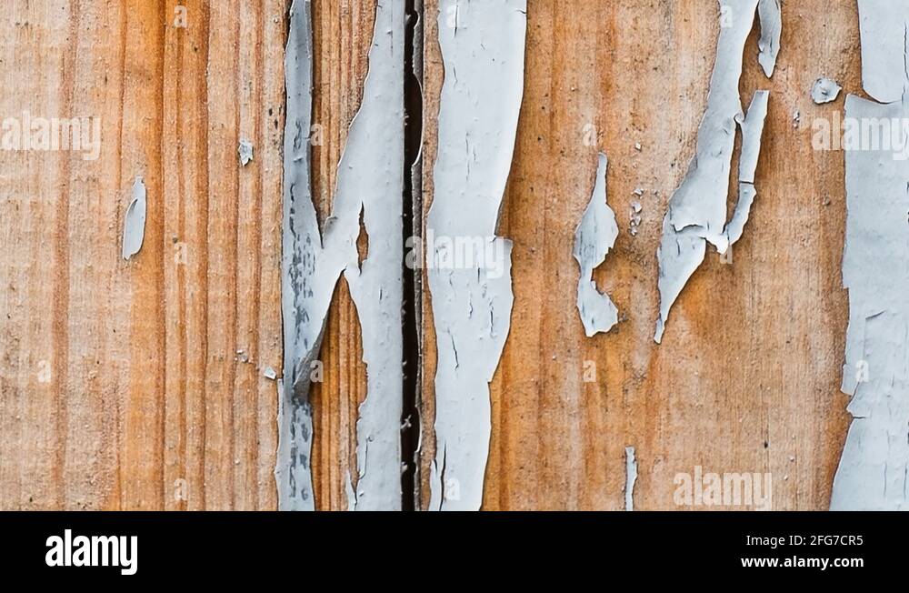 Wood decay texture Stock Videos & Footage - HD and 4K Video Clips - Alamy